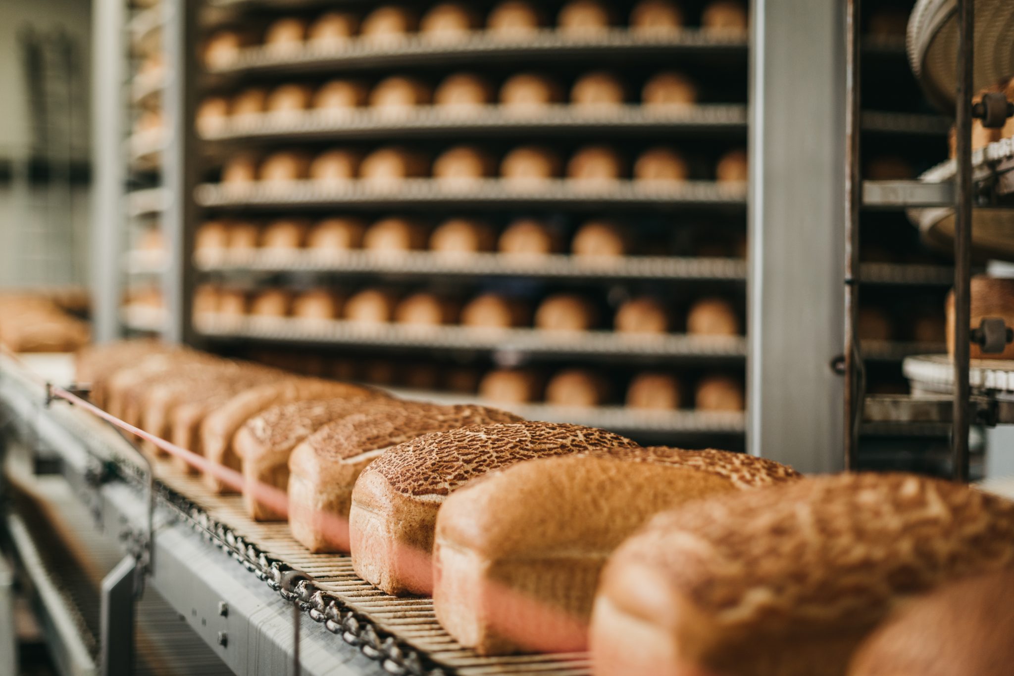 The bakery industry manufacturing process